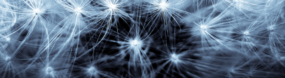 Applied Radionics | Applied Radionics Research Association